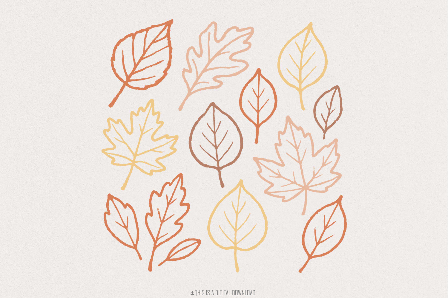 Autumn Leaves PNG, Fall Leaves PNG, Hand Drawn Outline Leaf Clipart ...