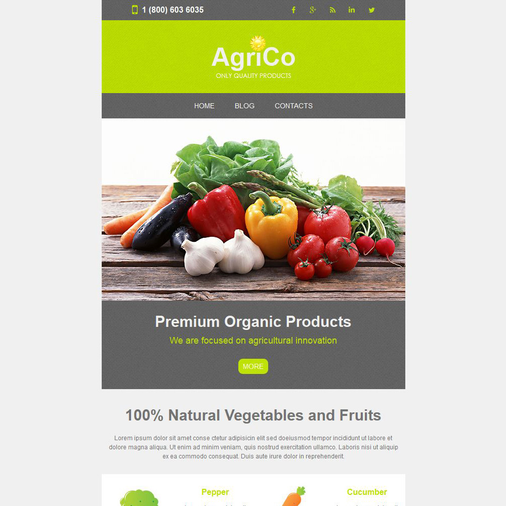 Agriculture Responsive Newsletter Template - TemplateMonster