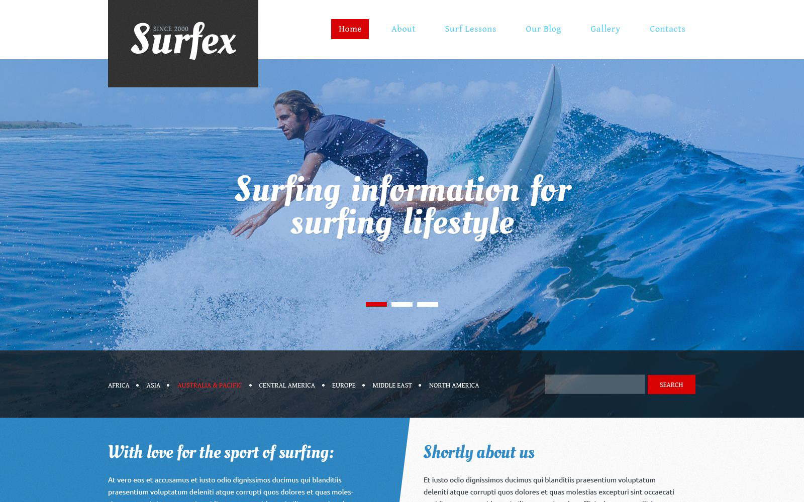 Surfing Responsive Drupal Template #54965 - TemplateMonster