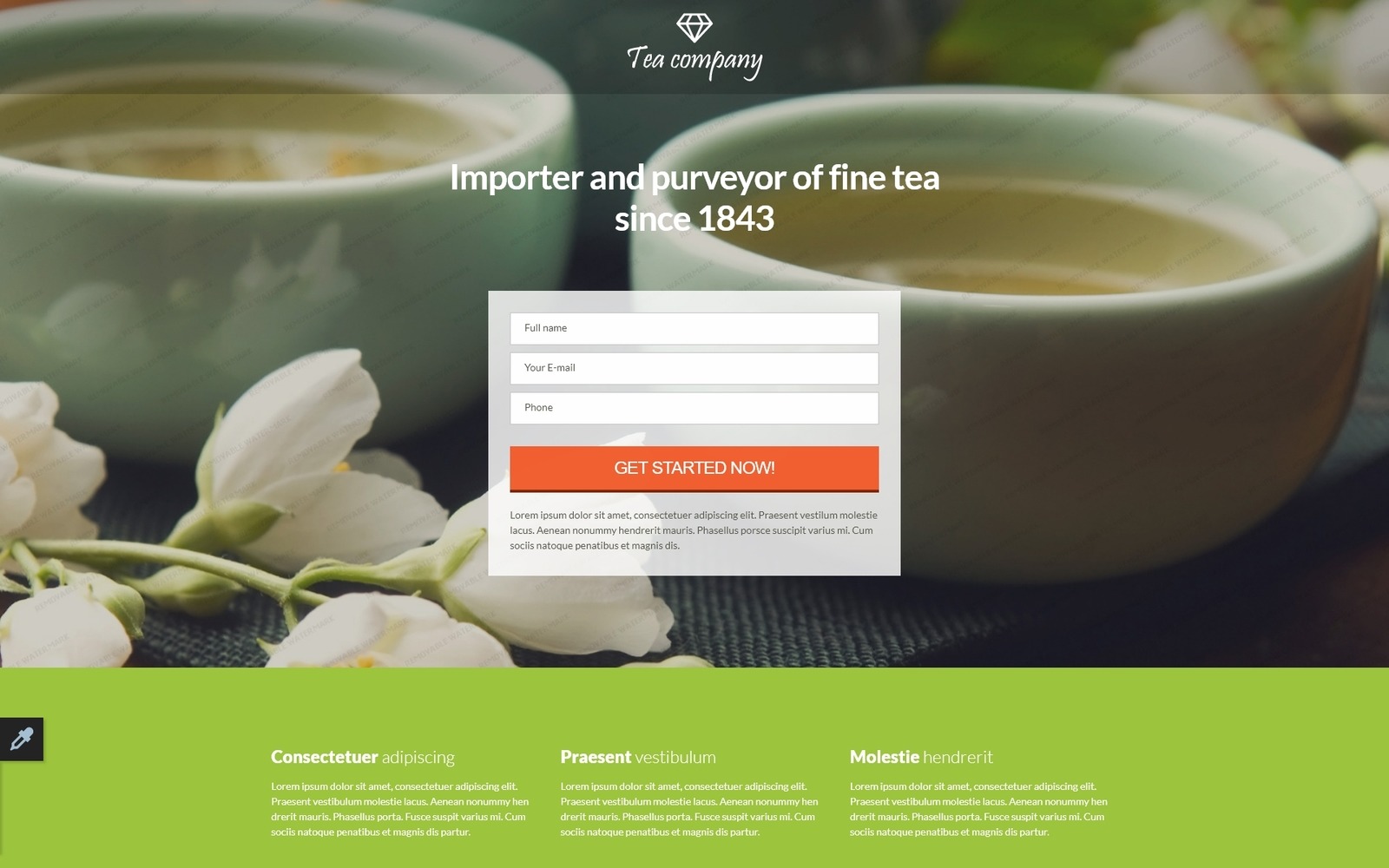 Tea Shop Responsive Landing Page Template - TemplateMonster