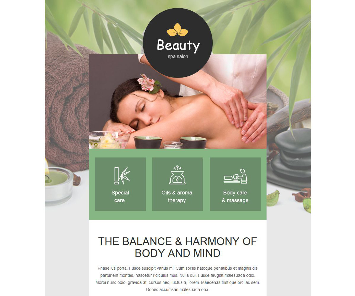 Spa Accessories Responsive Newsletter Template