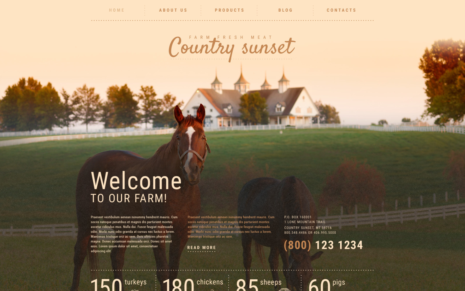 Country Sunset WordPress Theme #55354 - TemplateMonster