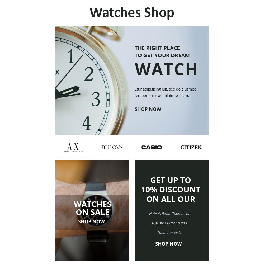 Watches Responsive Newsletter Template - TemplateMonster