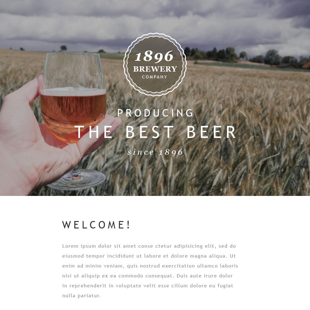 Brewery Responsive Newsletter Template - TemplateMonster
