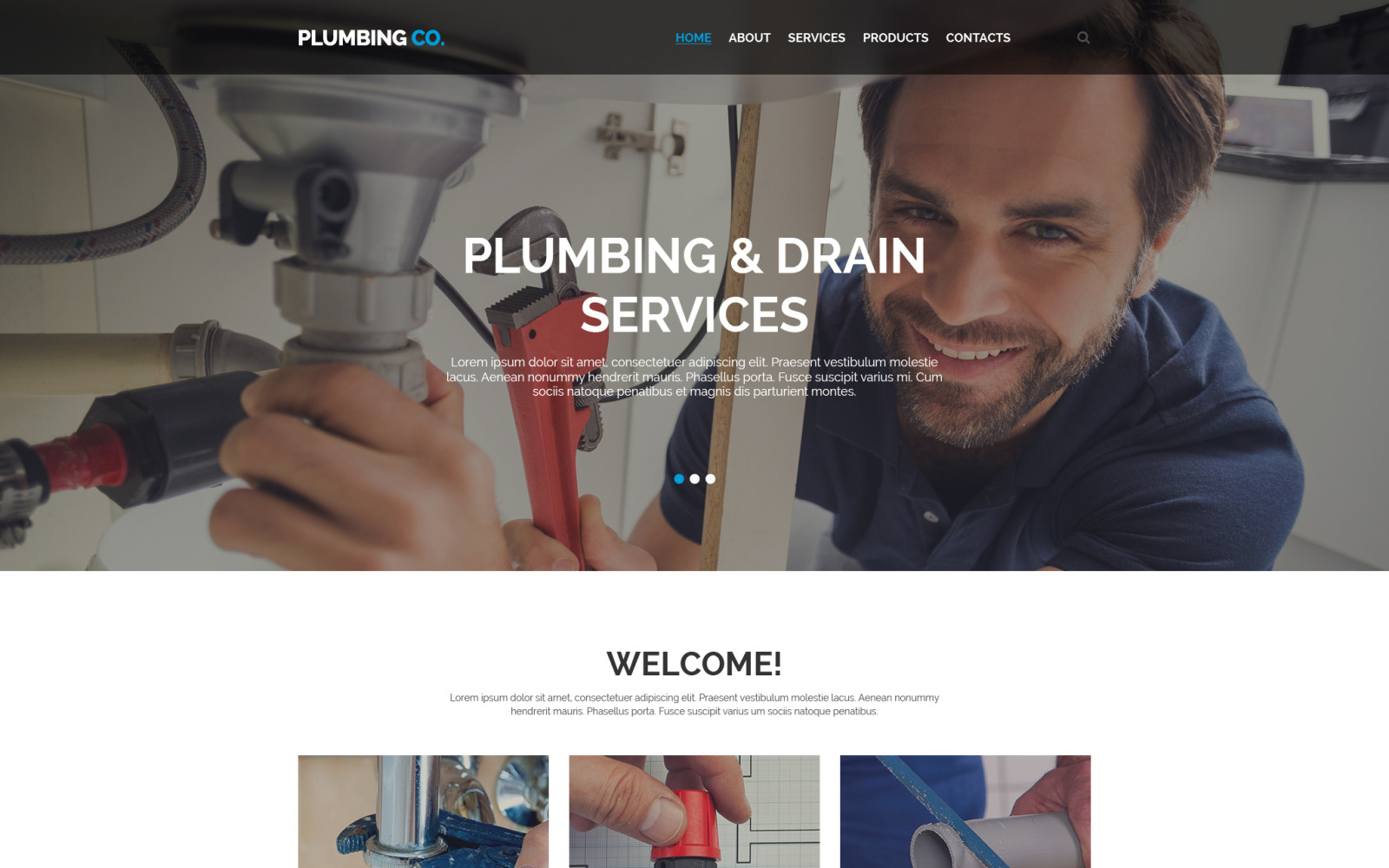 Plumbing Responsive Website Template - TemplateMonster