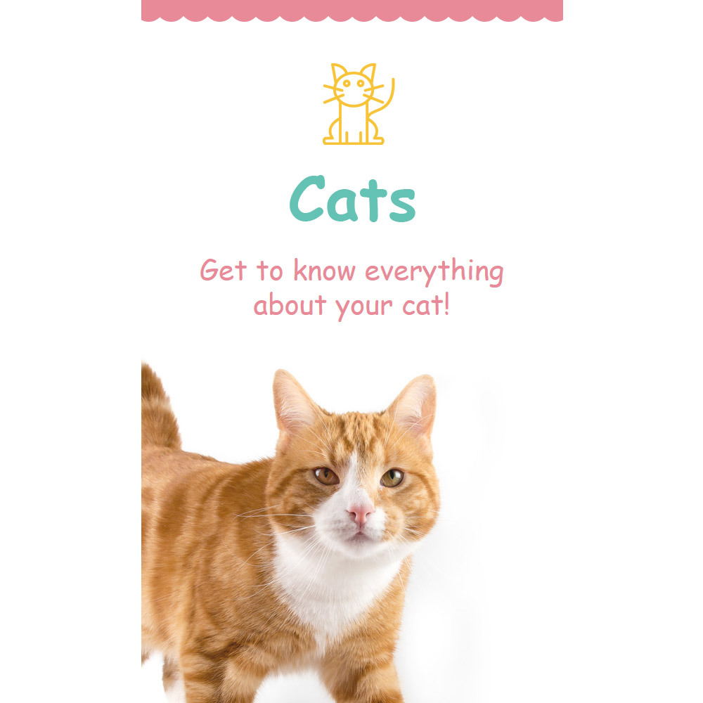 Cat Responsive Newsletter Template #58039 - TemplateMonster