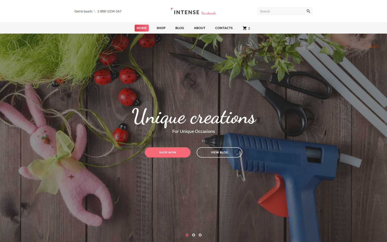 Intense Handmade Website Template #58883 - TemplateMonster