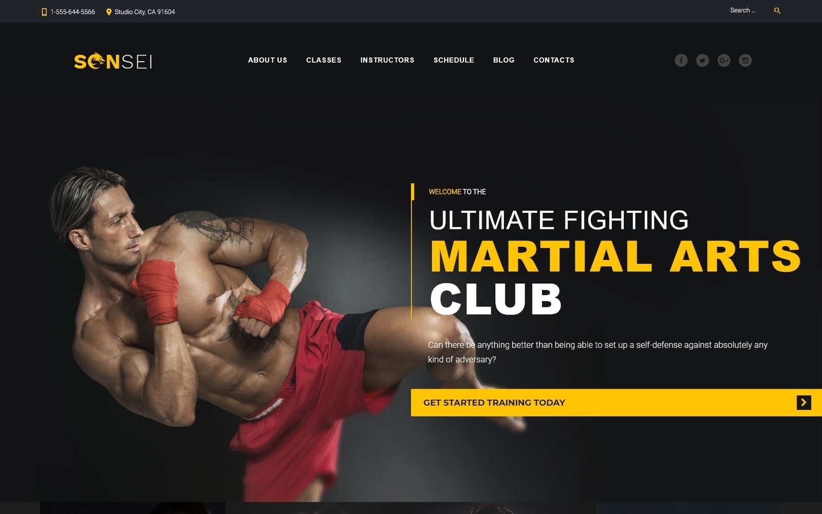 Sensei - Martial Arts WordPress Theme - TemplateMonster