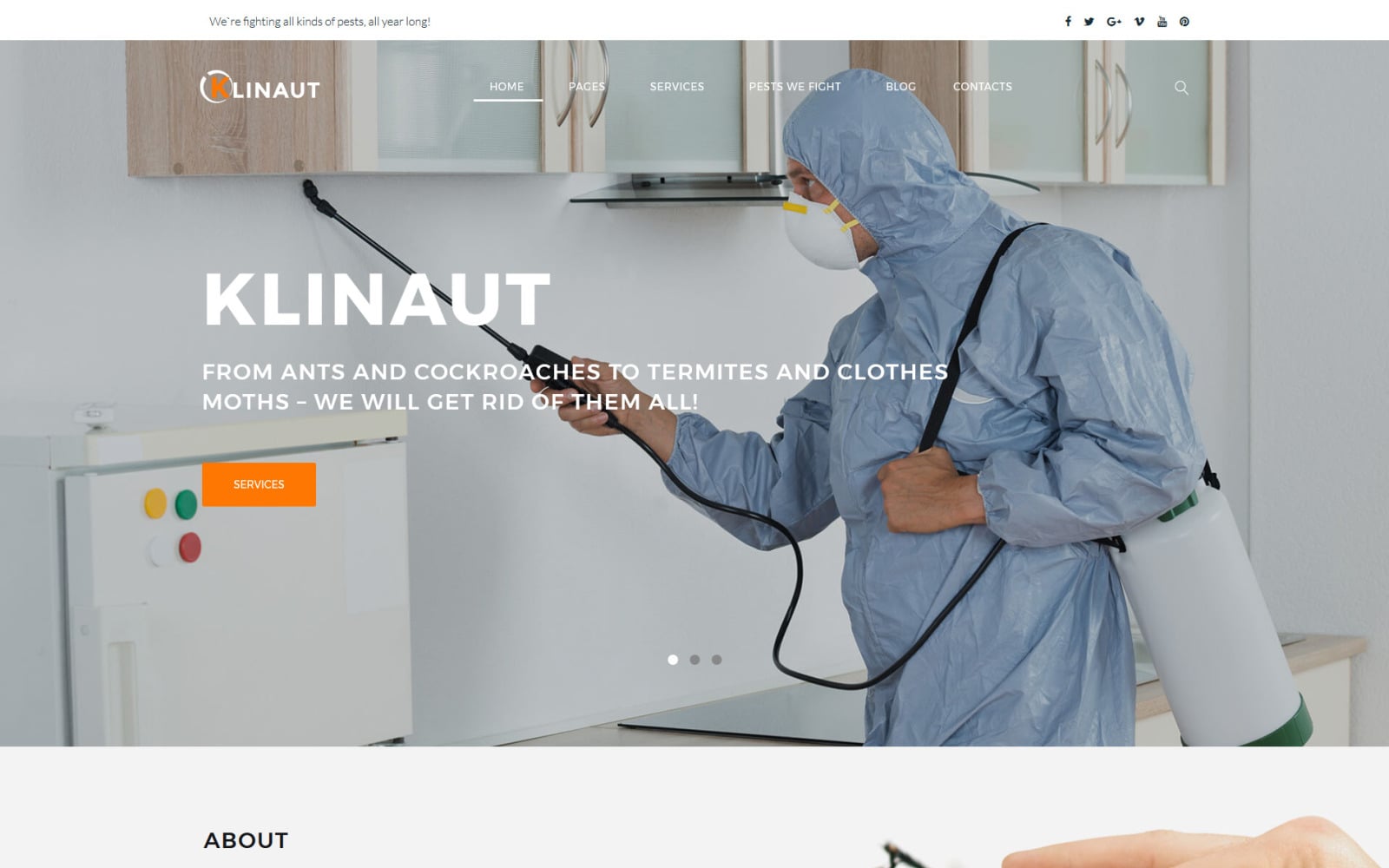Klinaut - Pest Control WordPress Theme - TemplateMonster