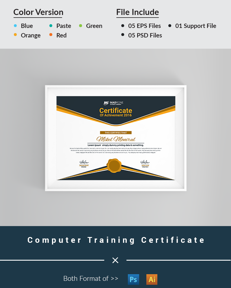 Computer Training Certificate Template - TemplateMonster