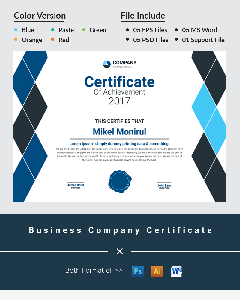 Business Company Certificate Template - TemplateMonster