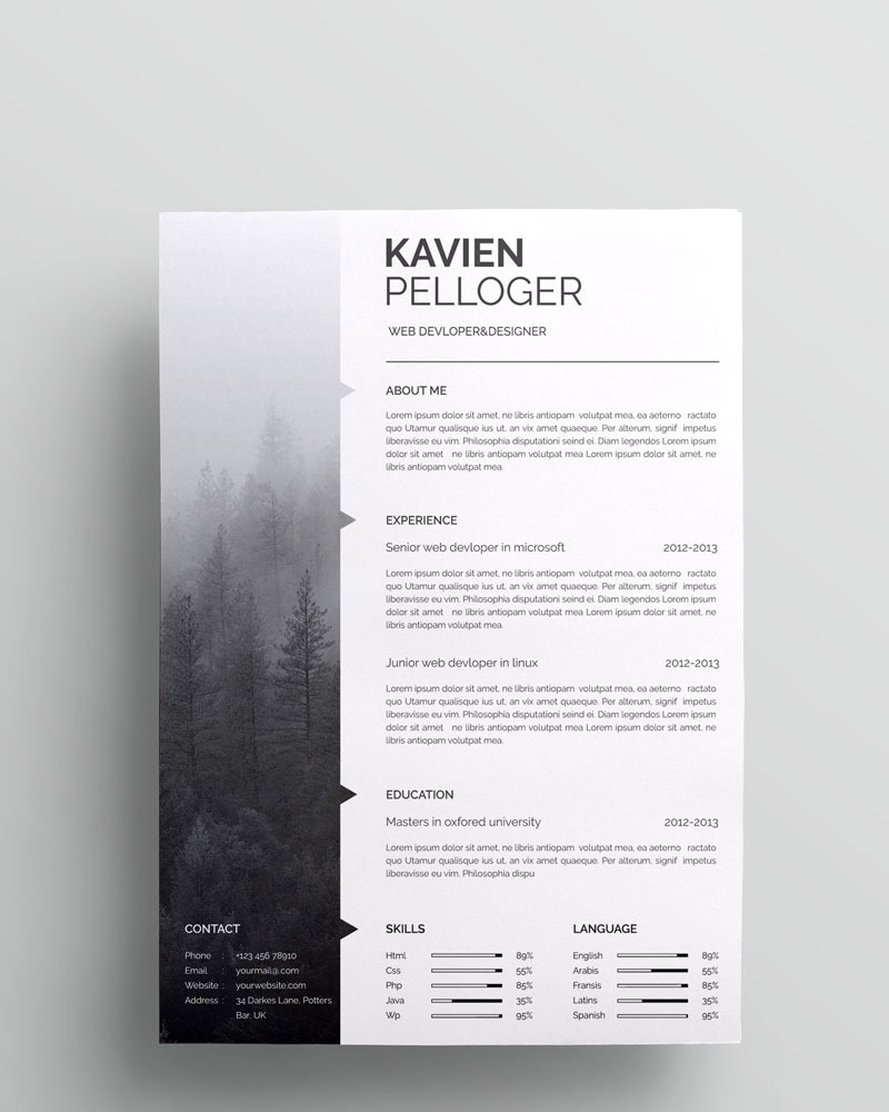 Kavien Pelloger-cv Resume Template #69172 - TemplateMonster