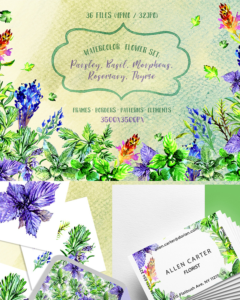 Bouquet of Herbs PNG Watercolor Set - Illustration