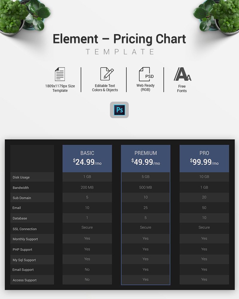 Element – Pricing Chart Infographic #70576 - TemplateMonster
