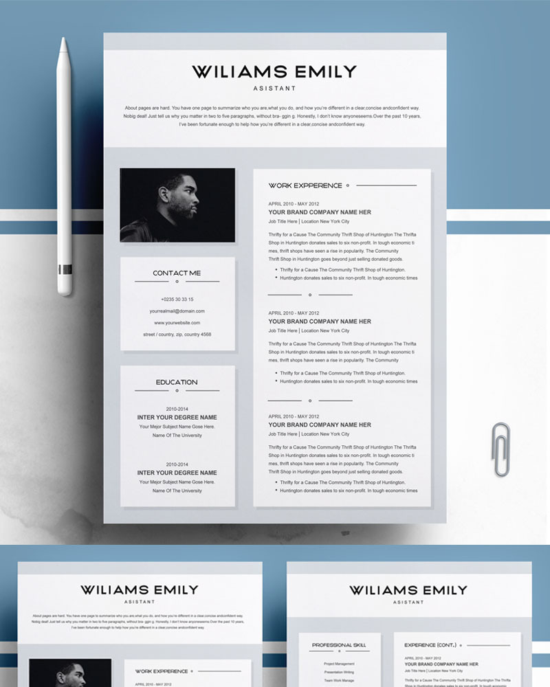 Professional Clean Resume Template #73580 - TemplateMonster