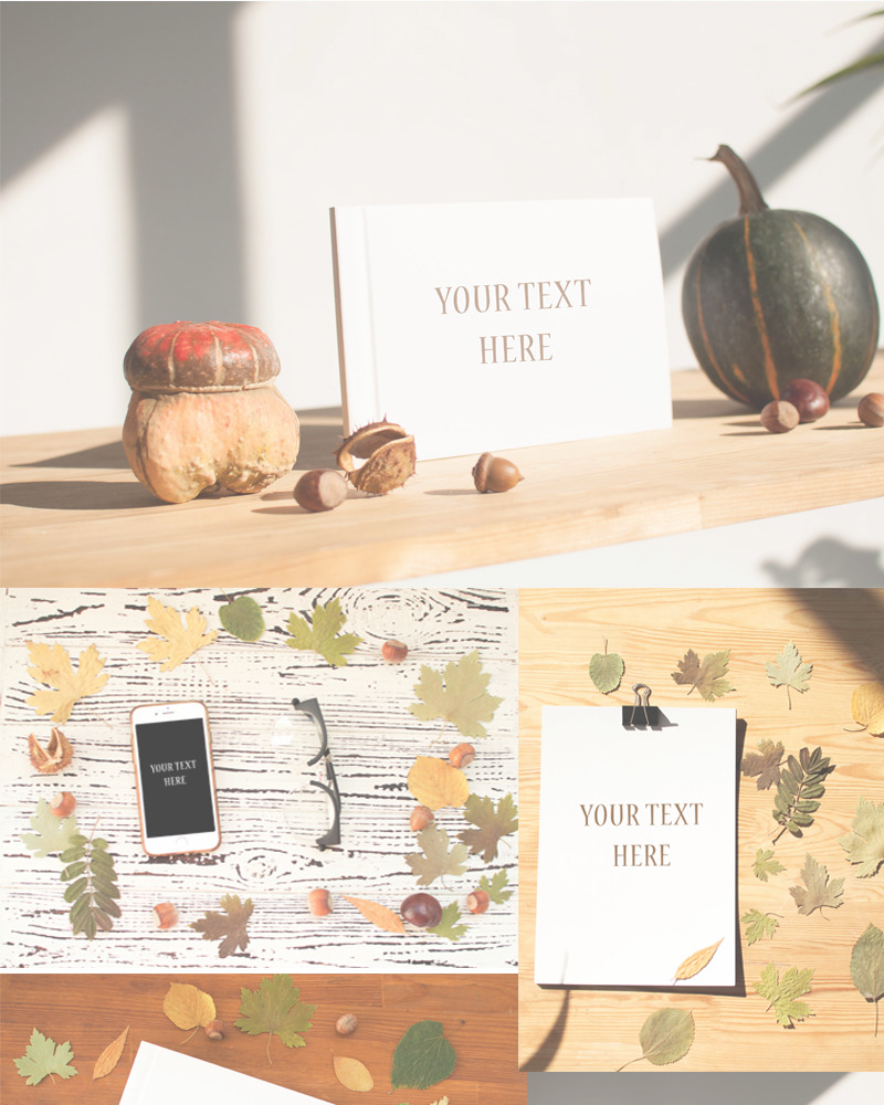 Autumn Journey Mockups & Photos Bundle product mockup