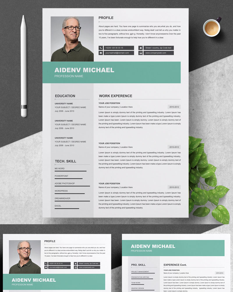 3 Page Professional Resume Template #73858 - TemplateMonster