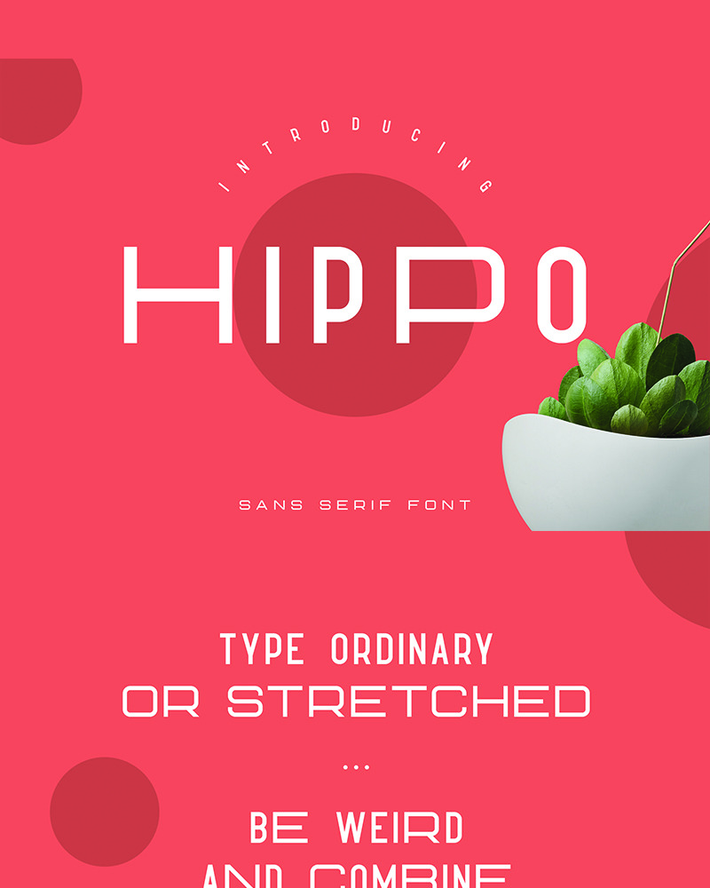Hippo Font #77888 - TemplateMonster