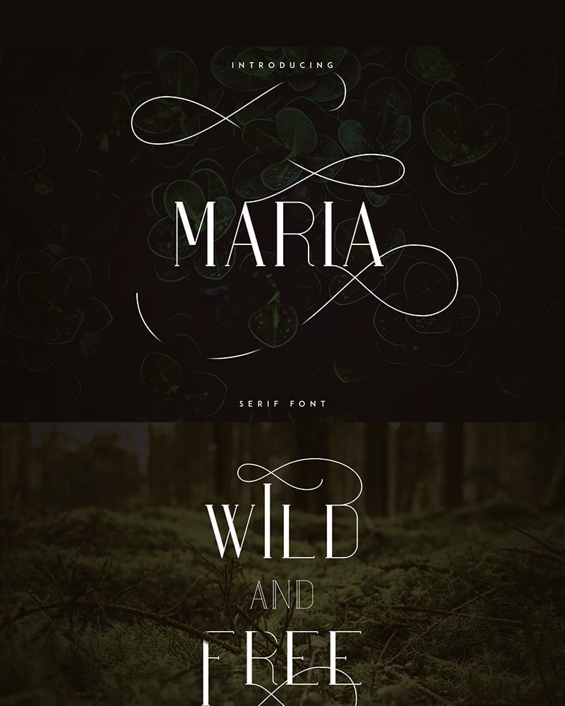Maria Font #78003 - TemplateMonster