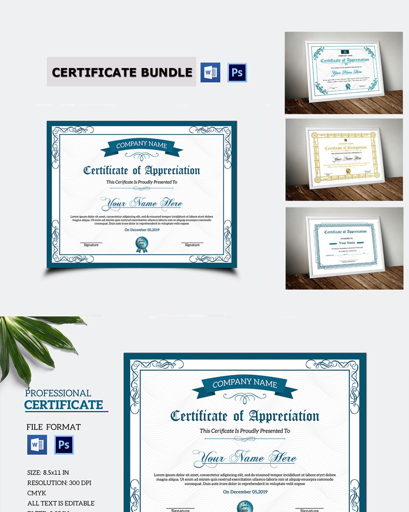 Certificate Bundle Certificate Template - TemplateMonster