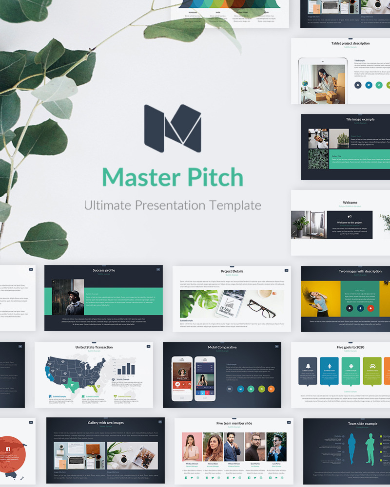 Master Pitch PowerPoint template #80163 - TemplateMonster