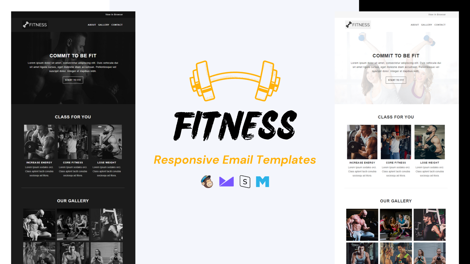 Fitness - Responsive Newsletter Template - TemplateMonster