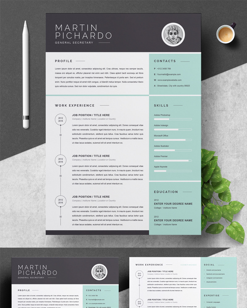 Martin Resume Template #81036 - TemplateMonster