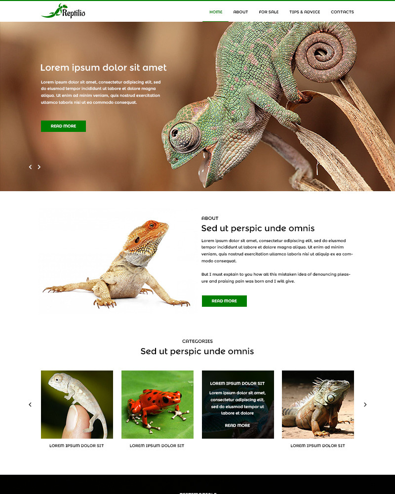 Reptilio - Reptile PSD Template #82012 - TemplateMonster