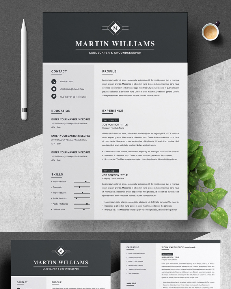 Martin Resume Template #82386 - TemplateMonster