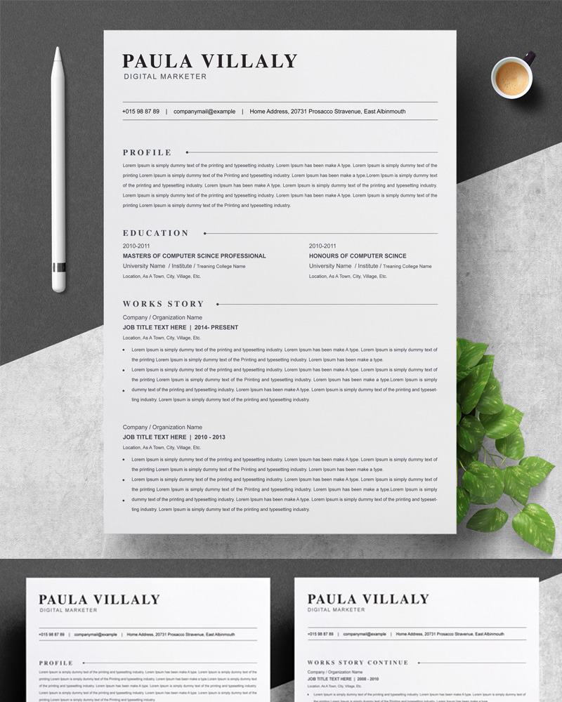 Paula Resume Template #82320 - TemplateMonster