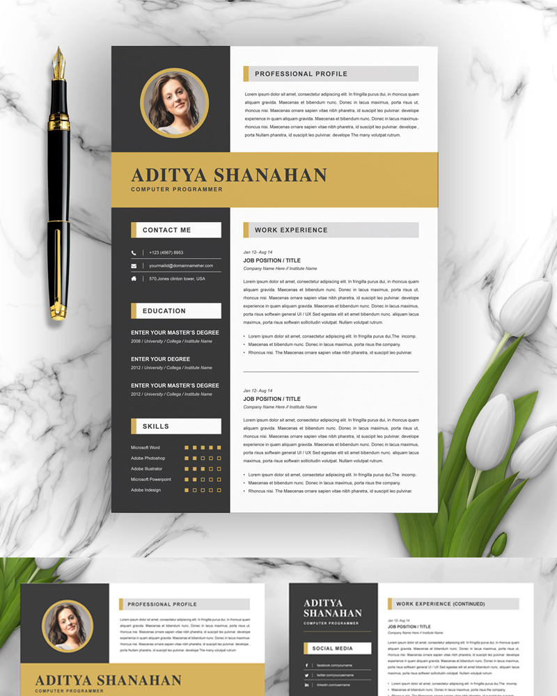 Aditya Resume Template #82433 - TemplateMonster