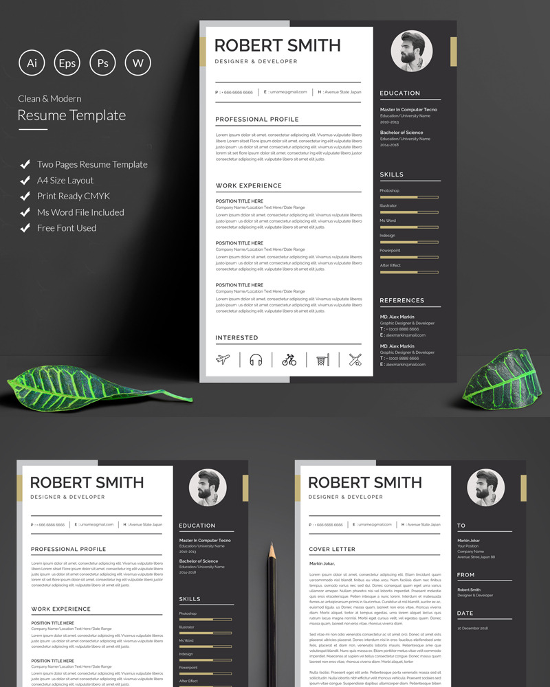 Robert Modern Resume Template #82465 - TemplateMonster