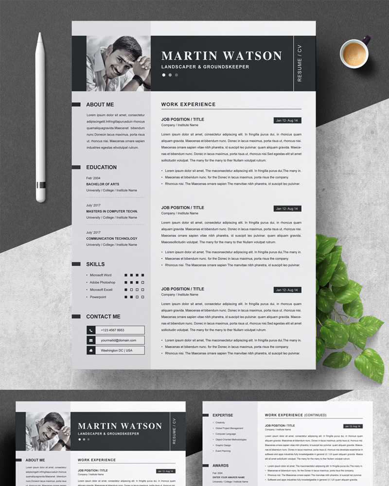 Martin Resume Template #82726 - TemplateMonster
