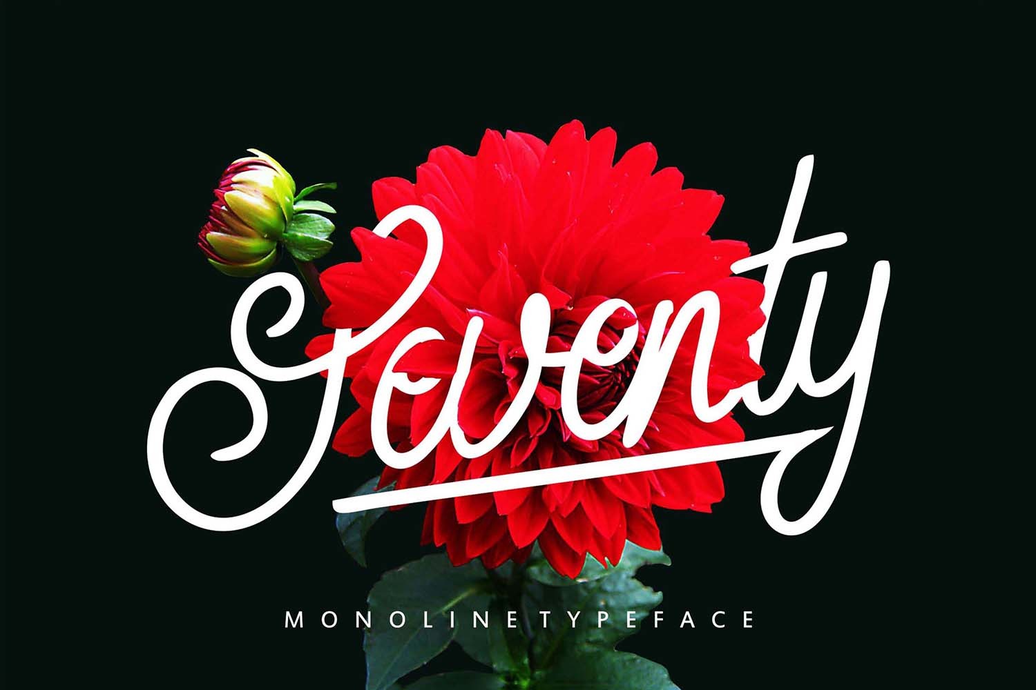 Seventy | Monoline Typeface Font #83286 - TemplateMonster