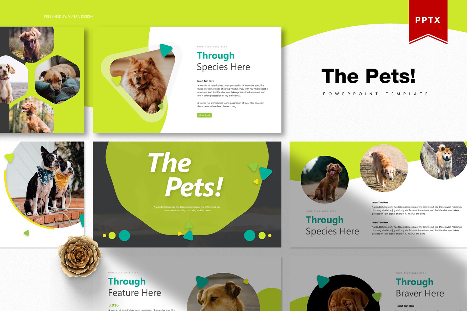 The Pets | PowerPoint template #84910 - TemplateMonster