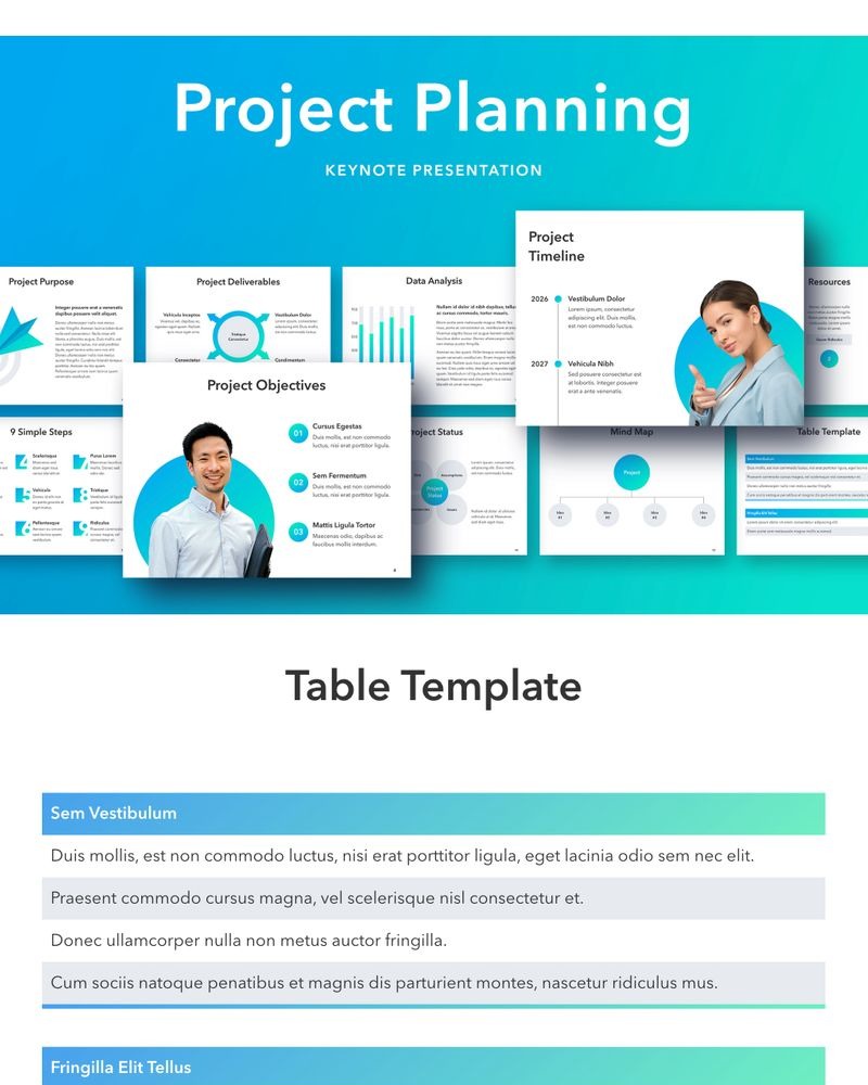 Project Planning - Keynote template #90161 - TemplateMonster
