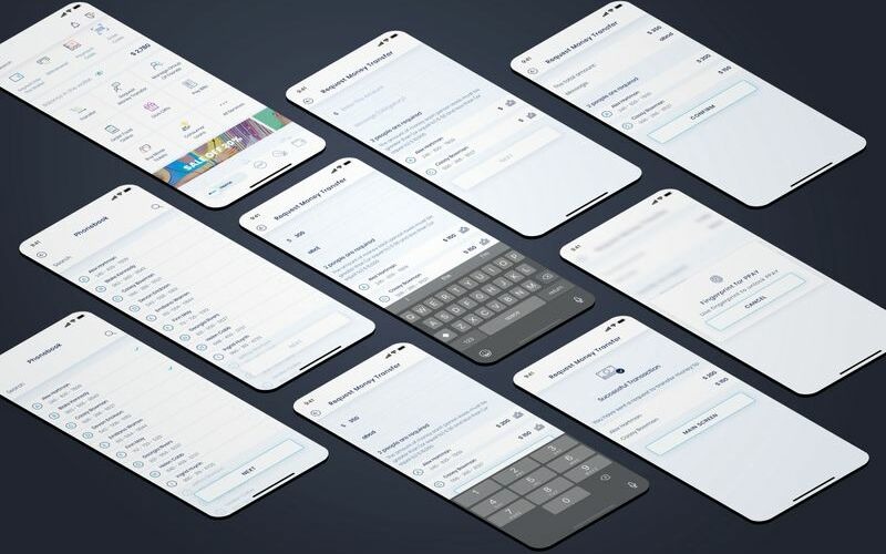Request Money Transfer UI Elements #92262 - TemplateMonster