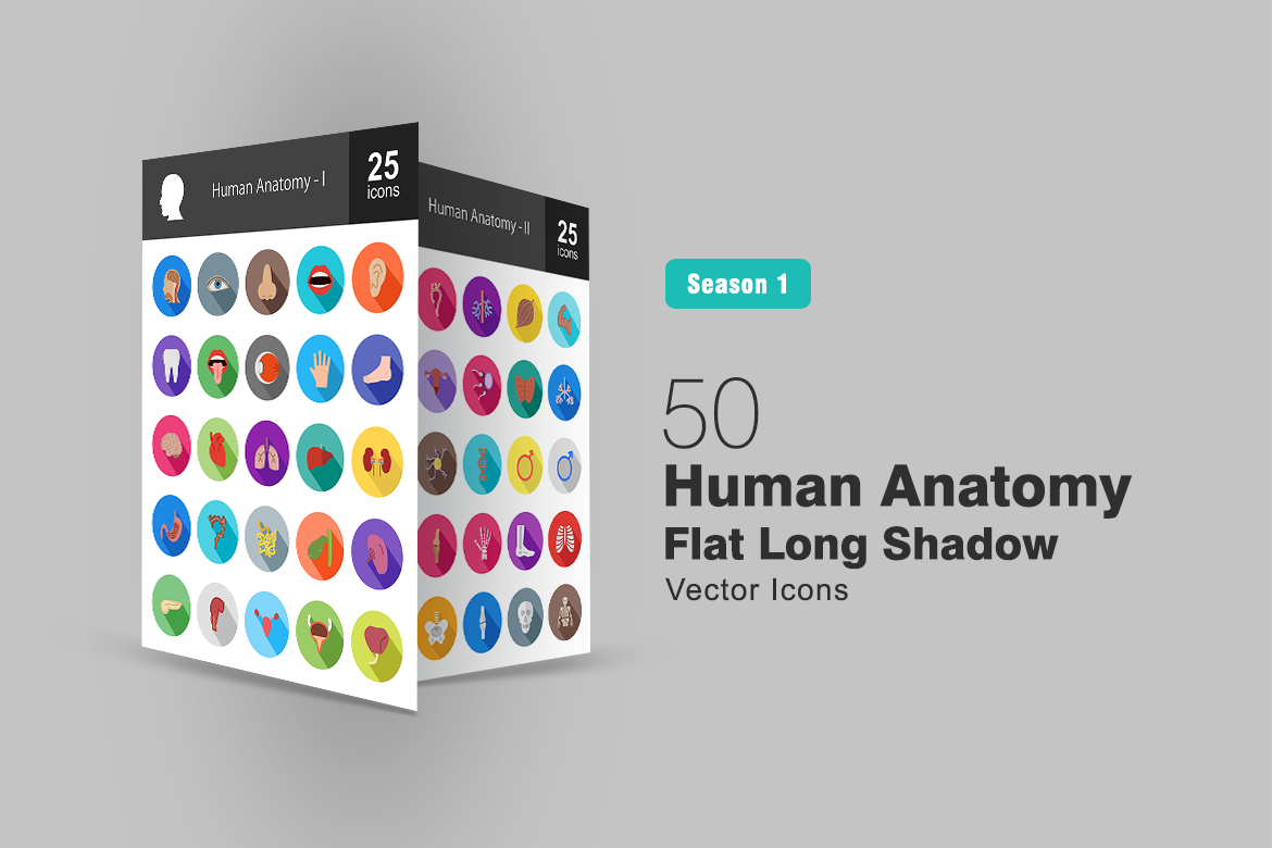 50 Human Anatomy Flat Long Shadow Icon Set - TemplateMonster