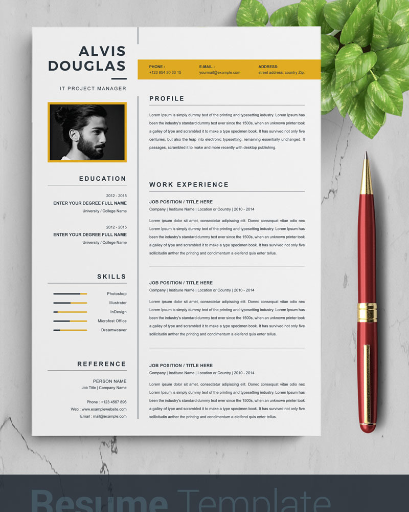 Alvis Resume Template #94763 - TemplateMonster
