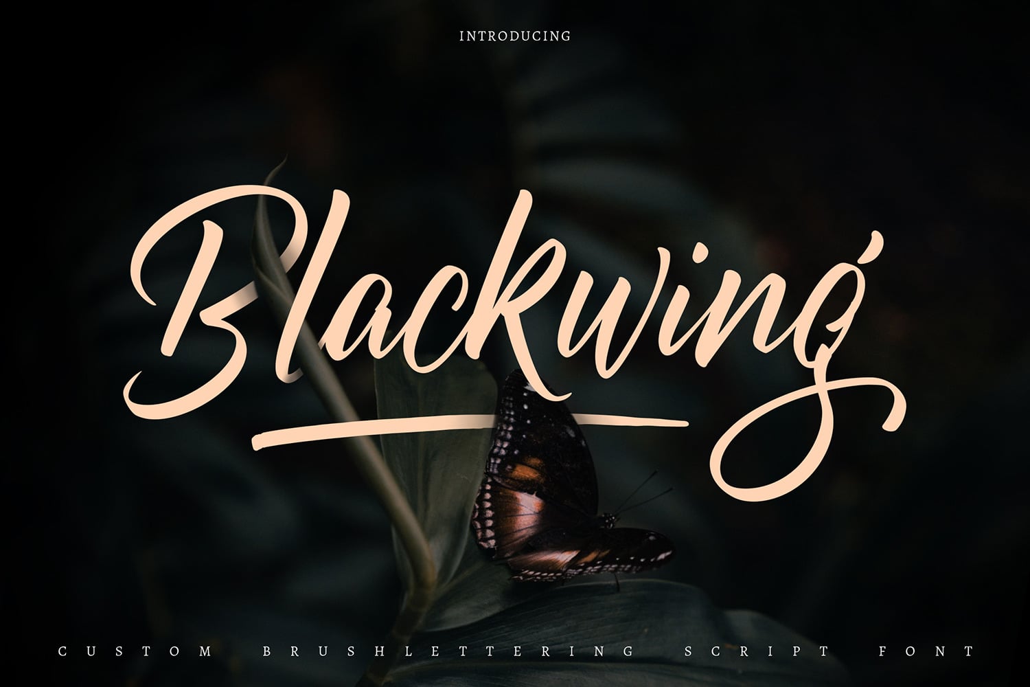 Blackwing | Custom Brush Lettering Cursive Font