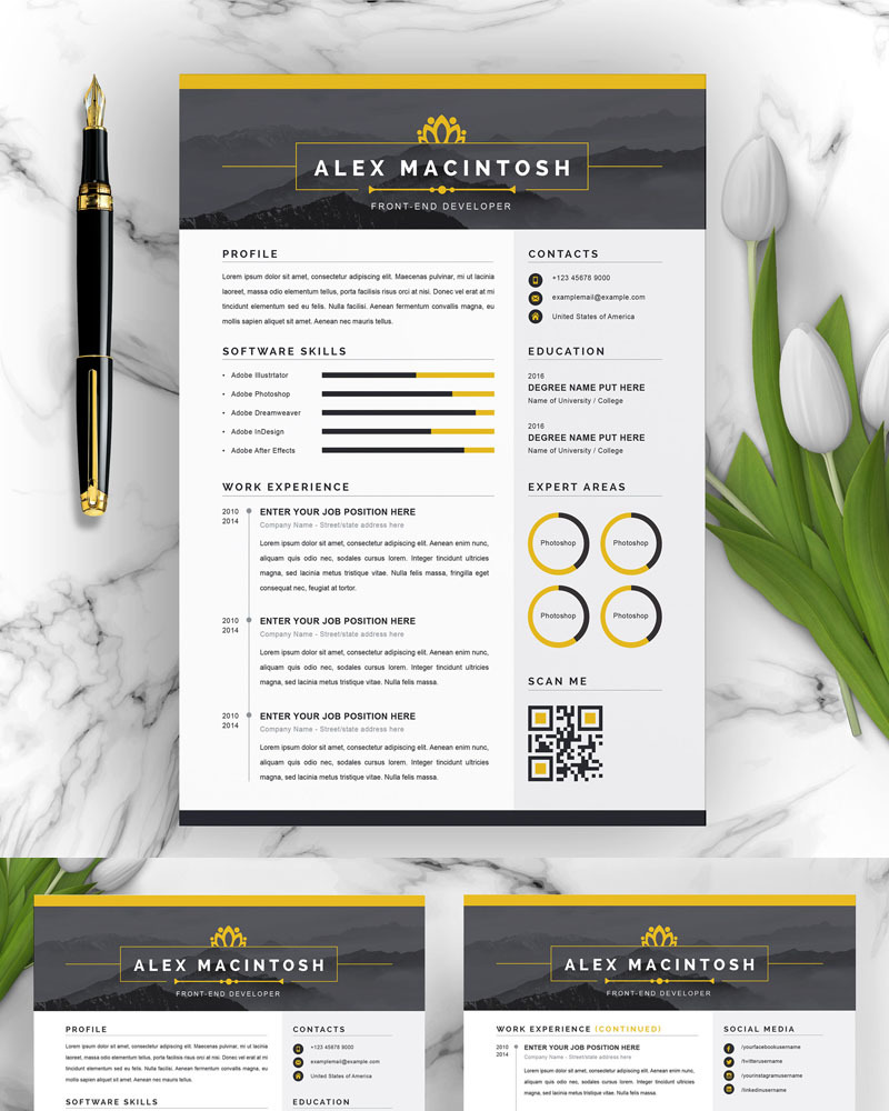 Alex Resume Template #96774 - TemplateMonster