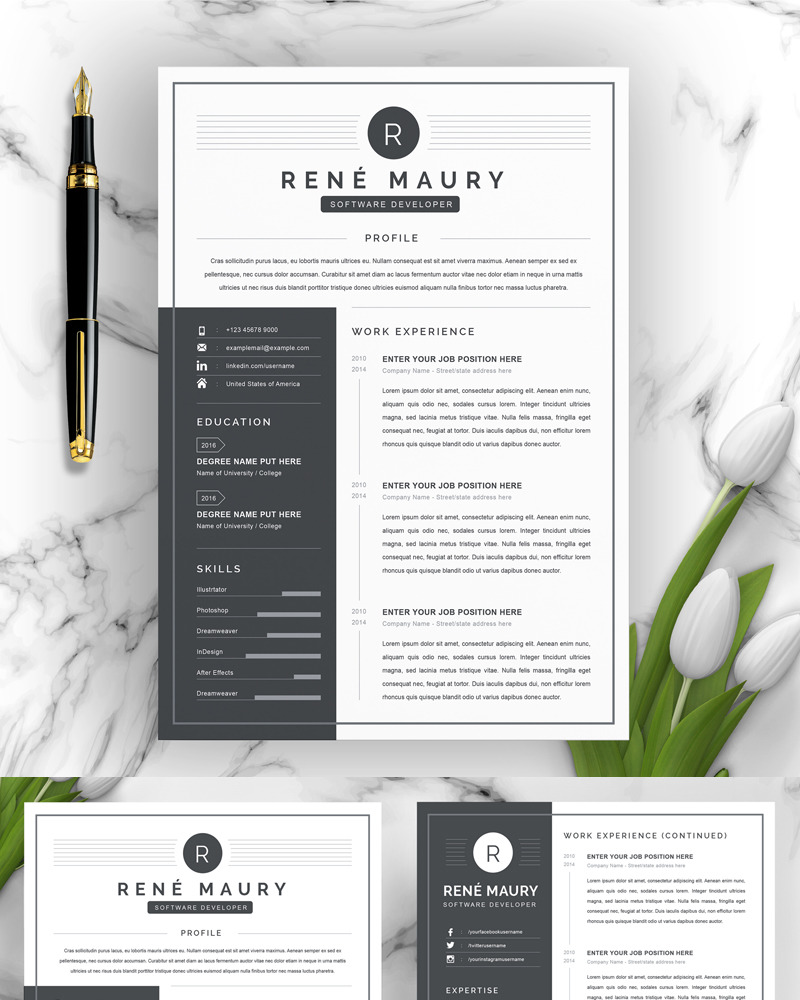 Rene Maury Resume Template #97989 - TemplateMonster