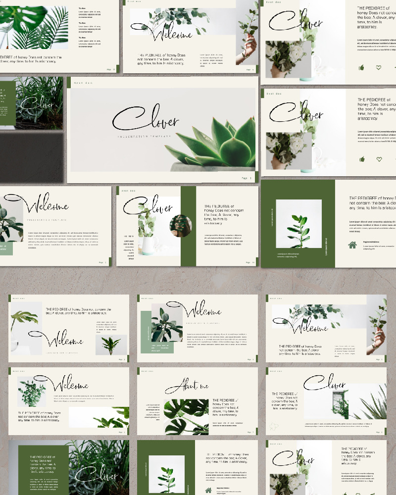 Clover Presentation PowerPoint template - TemplateMonster