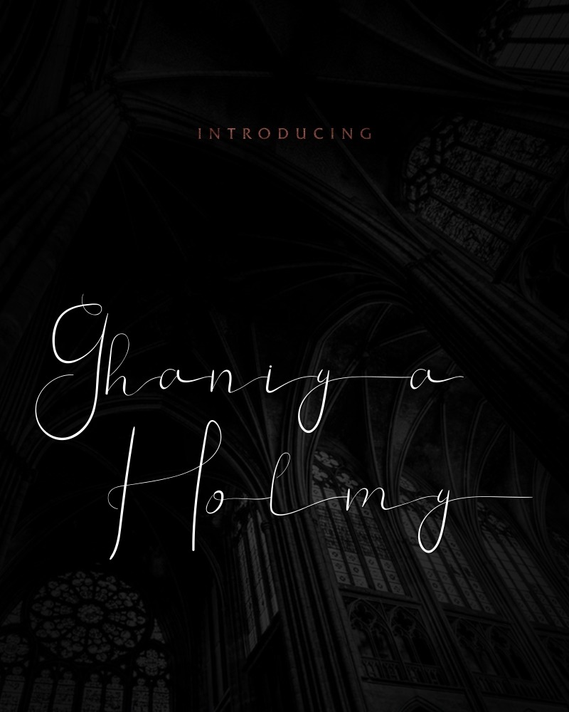 Ghaniya Holmy Font #99576 - TemplateMonster