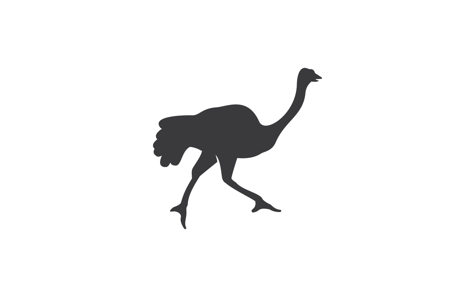 Logo di struzzo Design piatto vettoriale su sfondo bianco