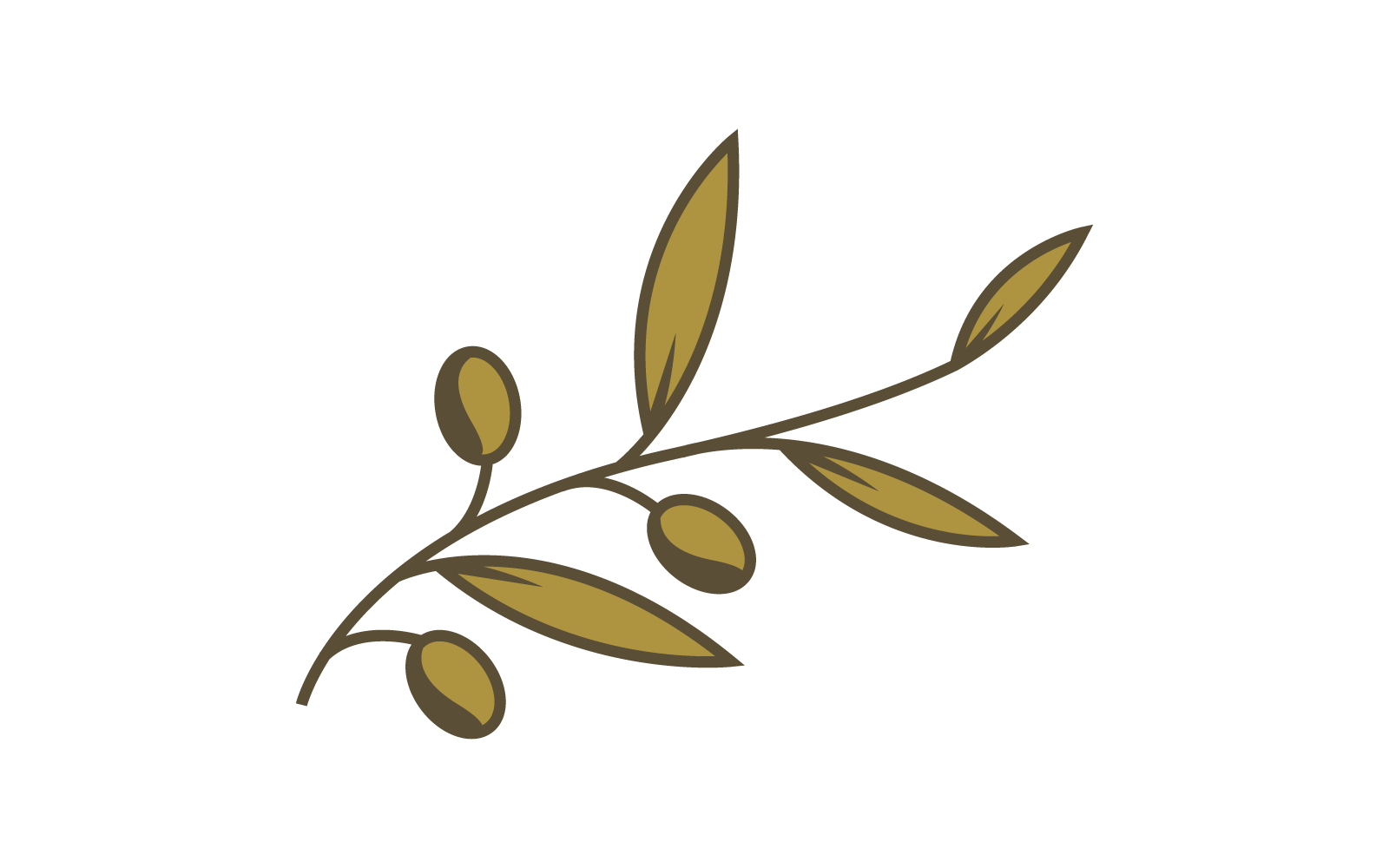 Zeytin logo şablonu vektör düz tasarımı - TemplateMonster