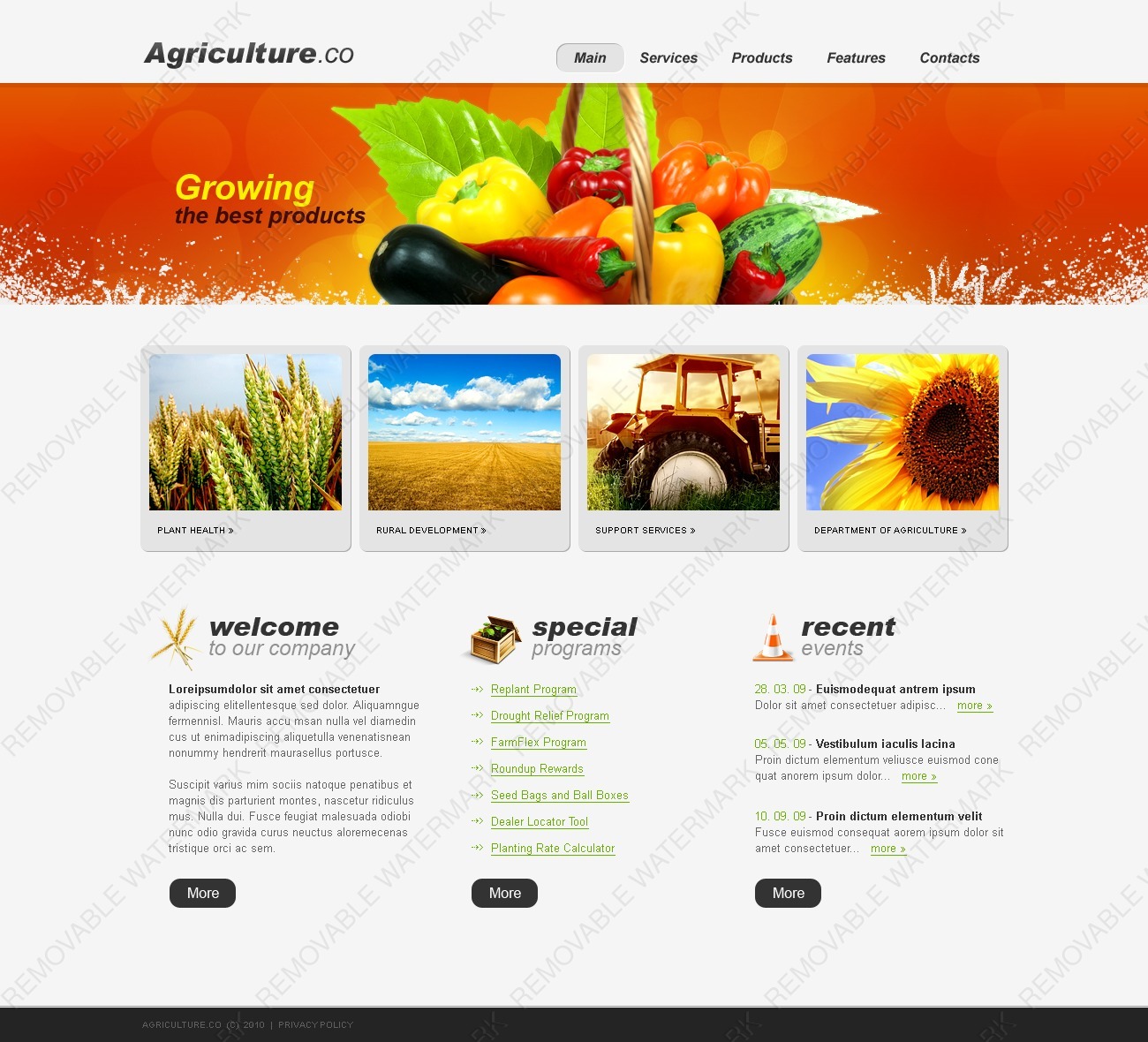 Agriculture Website Template #27524 by WT - Website Templates