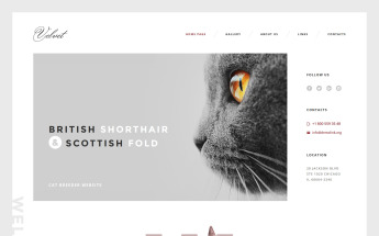 Best Pet Shop Website Templates