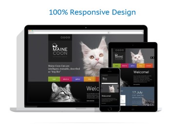 Cat Responsive Website Template #45870
