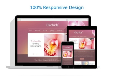 Flowers Responsive Website Template #46439